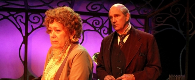 Review: MEMOIR at Williamston Theatre is an Actor's Dream and Triumphs ...