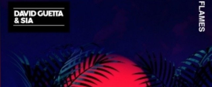 David Guetta & SIA Reunite with FLAMES After Hits TITANIUM and BANG MY HEAD