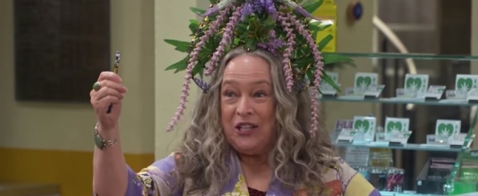 Netflix Shares Trailer & Key Art for Original Series DISJOINTED Part 2 ...