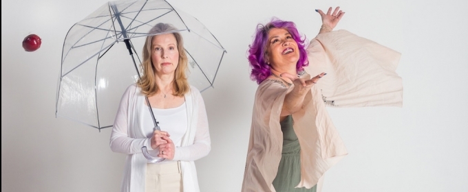 Threshold Stage Company Presents Sarah Ruhl's THE CLEAN HOUSE