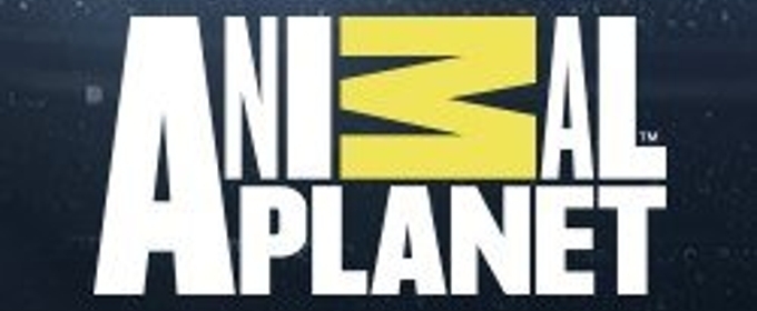 Animal Planet to Present Inspiring Stories of Animals in New Series ...