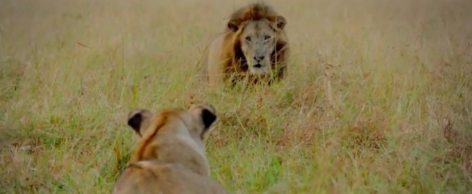 VIDEO: BBC America Releases First-Look for DYNASTIES