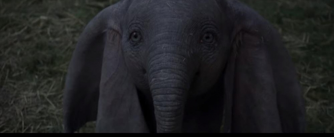 VIDEO: See An Elephant Fly In the Official Trailer for Tim Burton's DUMBO!