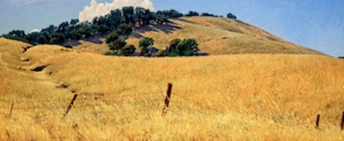 ADG Gallery 800 Announces Exhibit, Opening 2/10