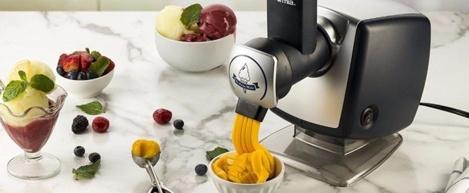 The GOURMIA AUTOMATIC FRUIT DESSERT MAKER is Ideal for Healthy and ...