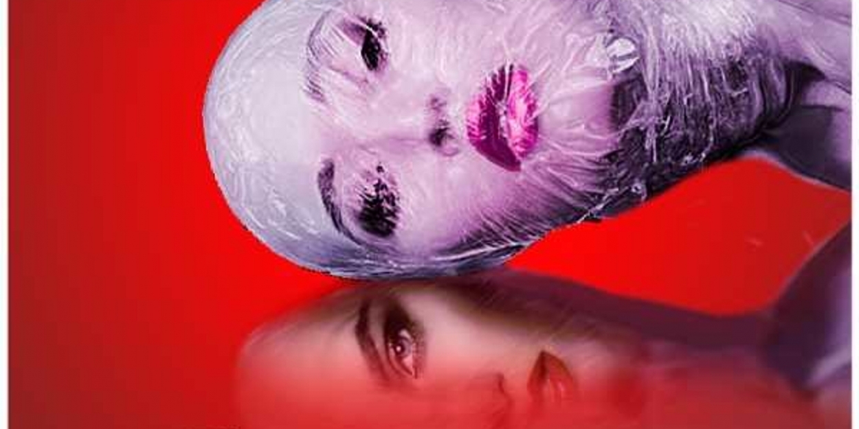 Playwright Frank Strausser Debuts First Novel PLASTIC