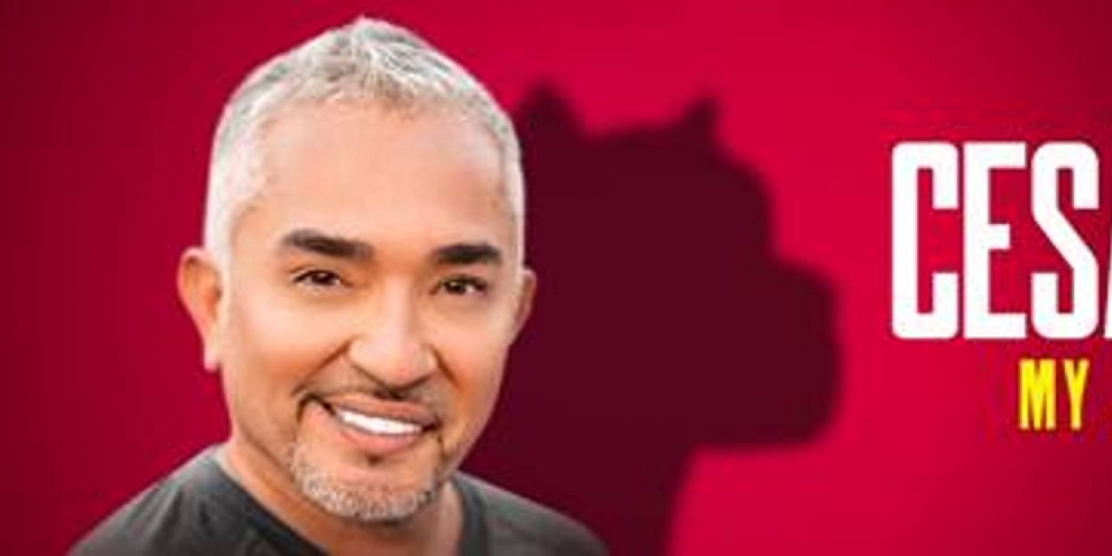 Cesar Millan Comes To Mgm Grand Hotel & Casino For The World Premiere ...