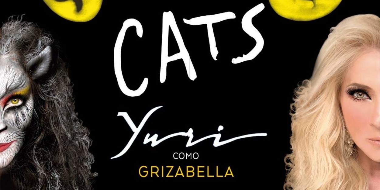 CATS México de Gerardo Quiroz, sigue cosechando grandes éxitos y ...