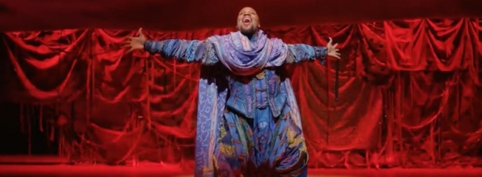 VIDEO: Highlights and Opening Night of ALADDIN in Sydney!