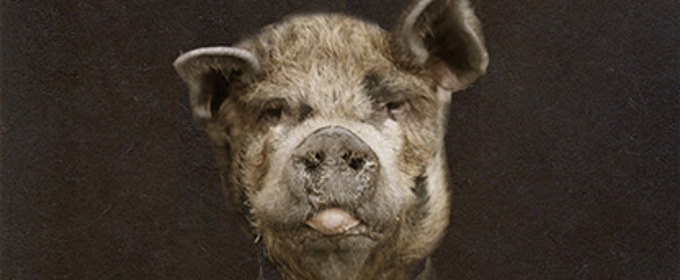 Theatricum Botanicum presents Peter Hall's Stage Adaptation of George ...