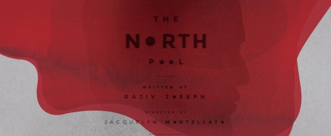 Rajiv Joseph's Tense, Timely Drama THE NORTH POOL Comes to Redwood City