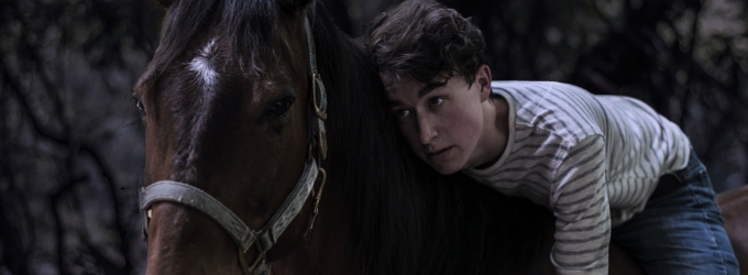 Photos: Meet the Star of EQUUS, Coming to Orlando This Summer