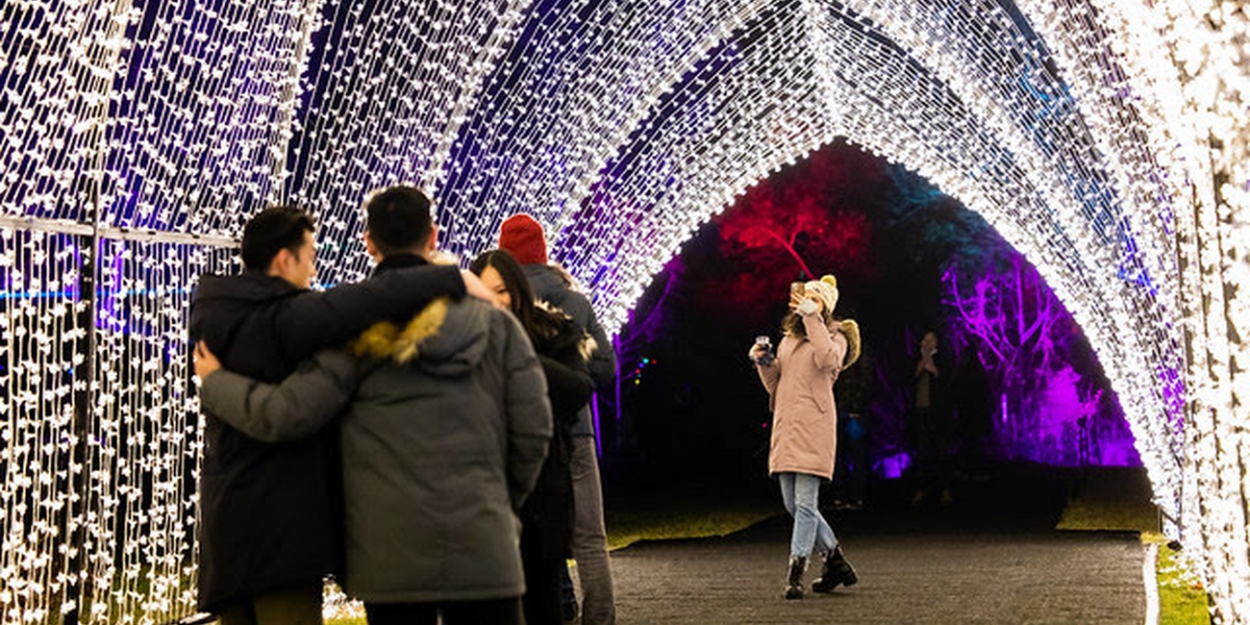 LIGHTSCAPE At Brooklyn Botanic Garden Returns November 16, 2022