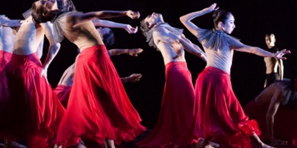 Polish National Ballet and Dutch National Ballet Will Co-Produce THE ...