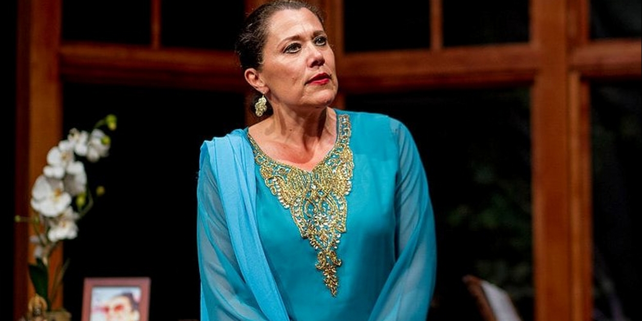 BWW Interview: Roxane Carrasco of MARGIN OF ERROR at The Roustabouts ...