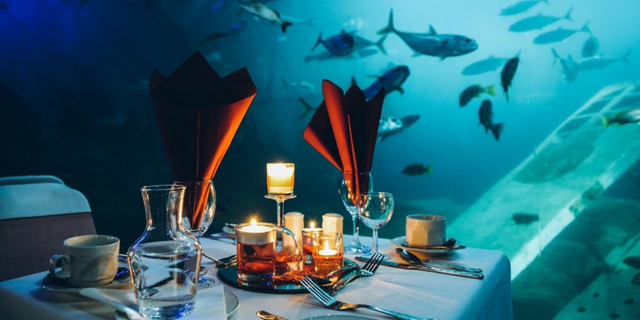 National Marine Aquarium Announces New October Dates For Dining At The ...