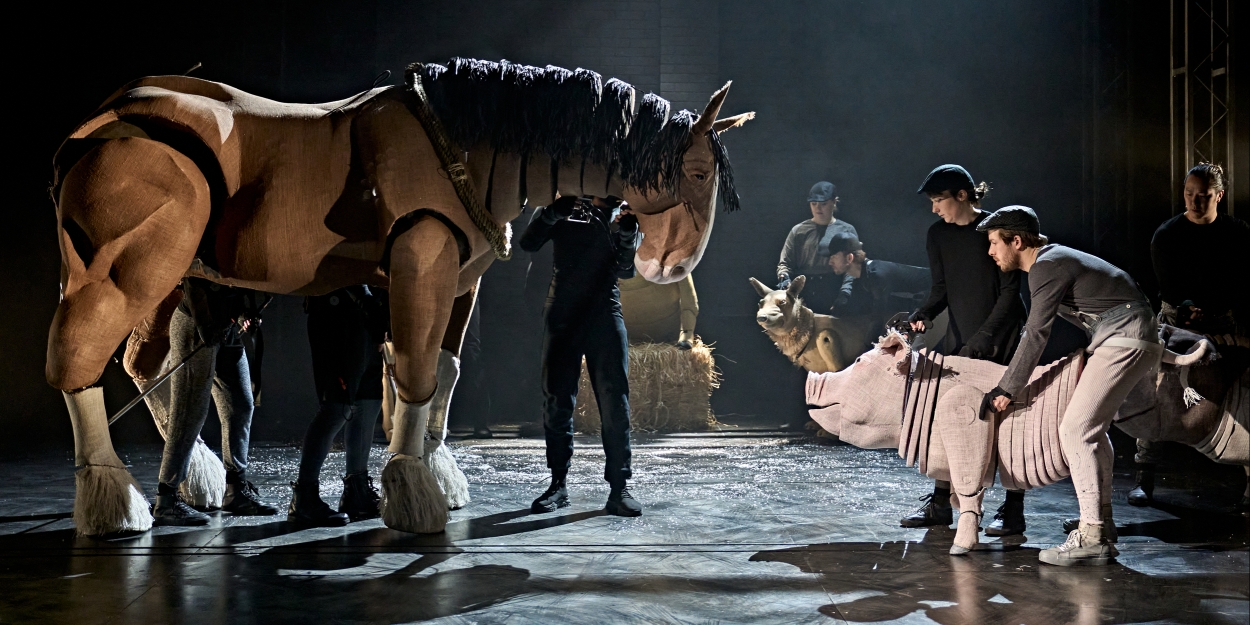 Photos: Check Out New Images of ANIMAL FARM UK Tour