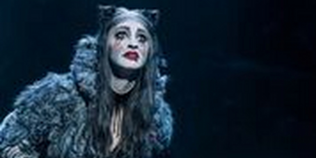 Review: CATS at Citizens Bank Opera House