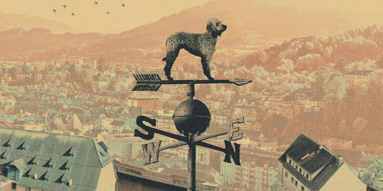 Cold Collective Shares New Singles from Upcoming 'Weathervane' Album