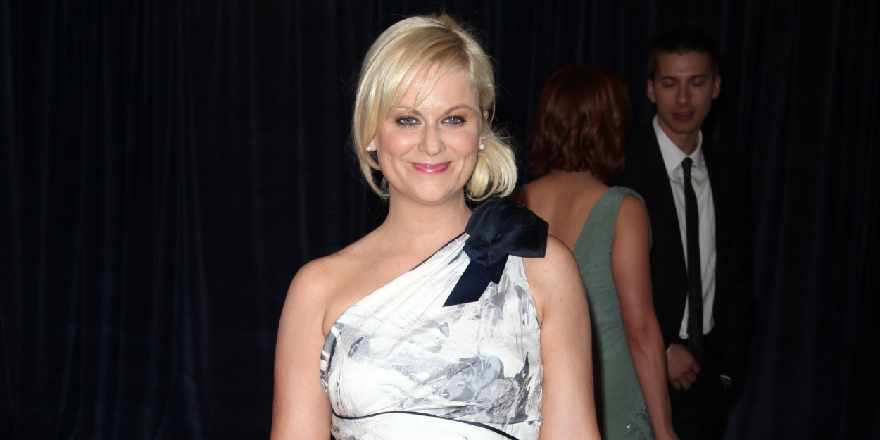 Amy Poehler's THE MOTHER-IN-LAW Gets NBC Pilot Commitment
