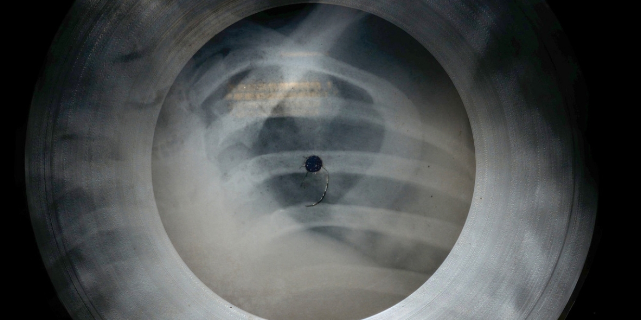 Songbook Foundation Partners With Forté On BONE RECORDS