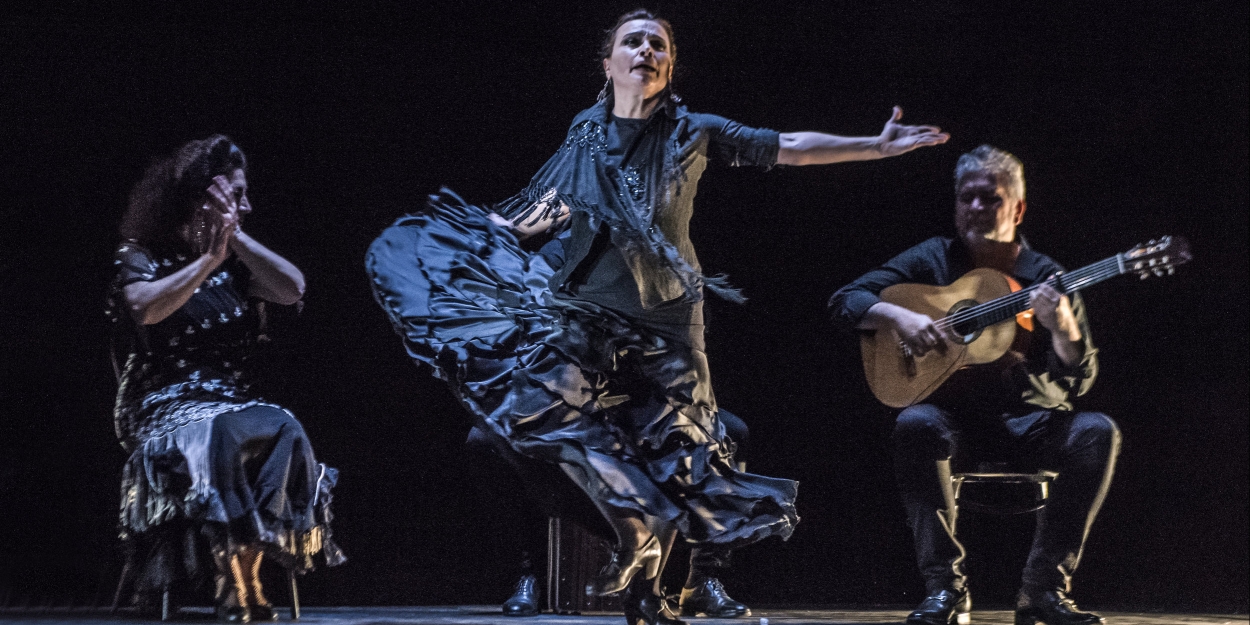 Review: NOCHE FLAMENCA'S 'ENTRE TU Y YO' at Z Space Showcases Legendary ...