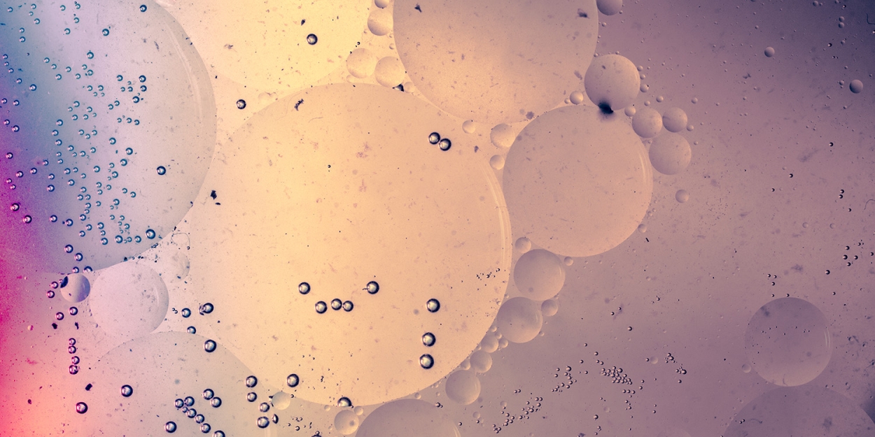 Jillian Walker's THE WHITNEY ALBUM Premieres at Soho Rep in May