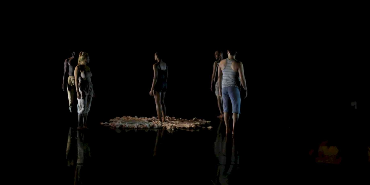 University of Florida Hosts Virtual SWAMP DANCE FEST! on Zoom