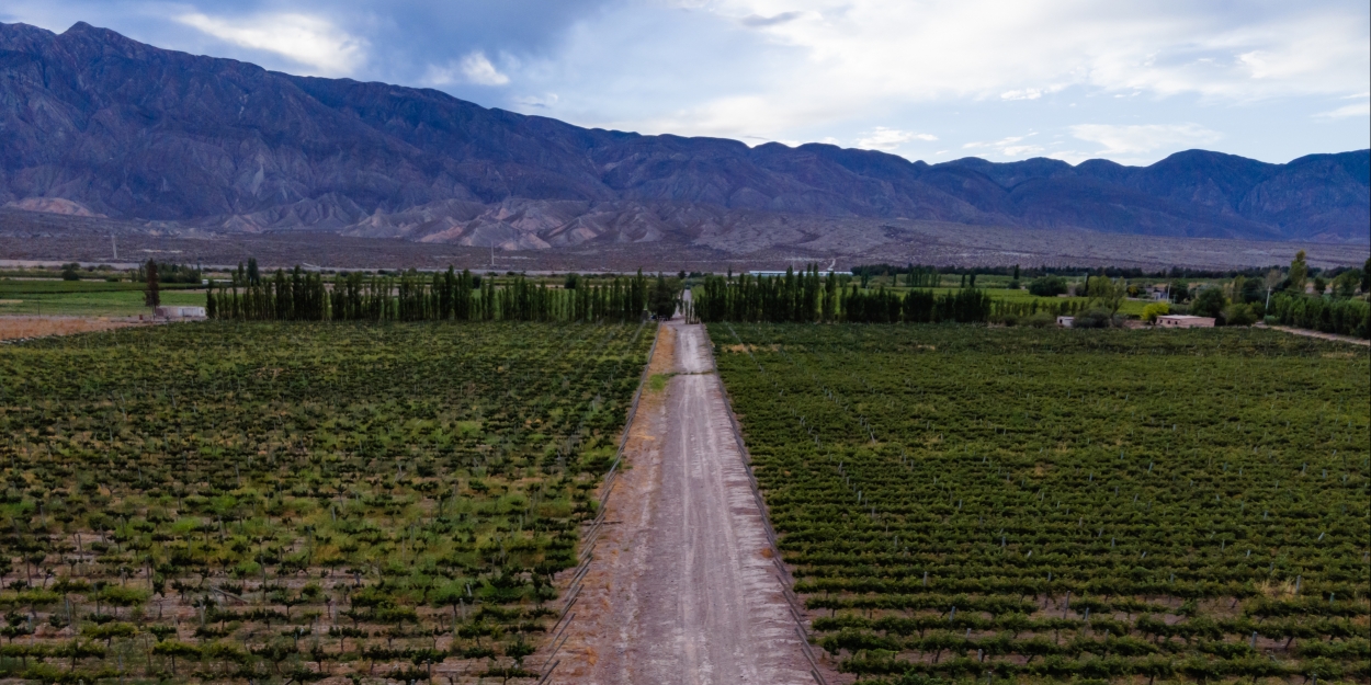GRAFFIGNA MALBEC 2018-An Argentine Wine to Know About
