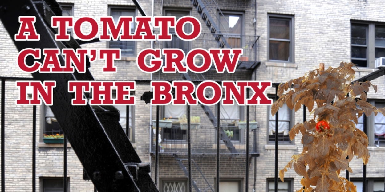 TOMATO CAN'T GROW IN THE BRONX Opens at Chain Theater Next Month