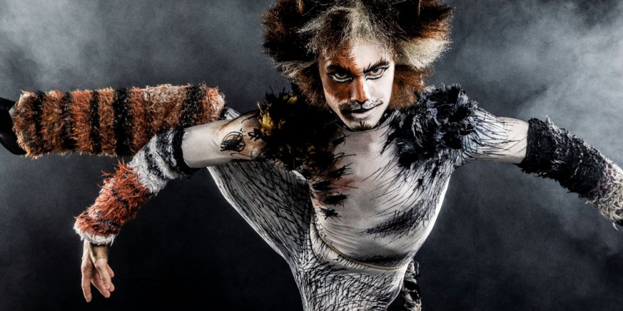 CATS To Play Morrison Center Beginning 10/29