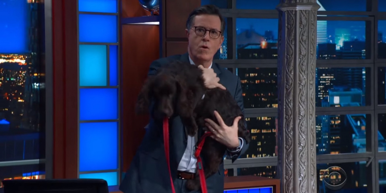 VIDEO: Meet Stephen Colbert's New Puppy on THE LATE SHOW