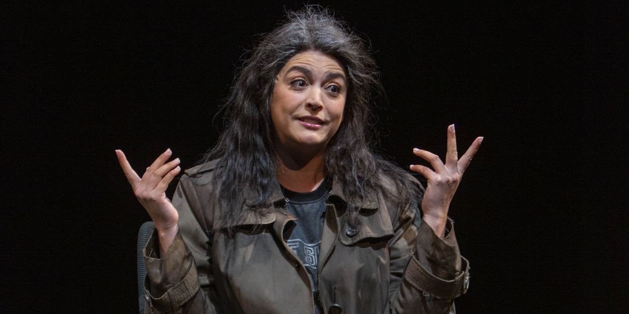 Review Roundup: Cecily Strong Stars in THE SEARCH FOR SIGNS OF ...