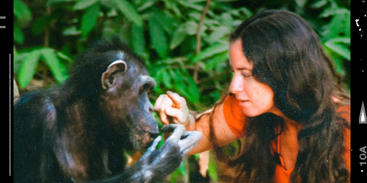 Documentary Feature LUCY THE HUMAN CHIMP To Stream In The U.S ...