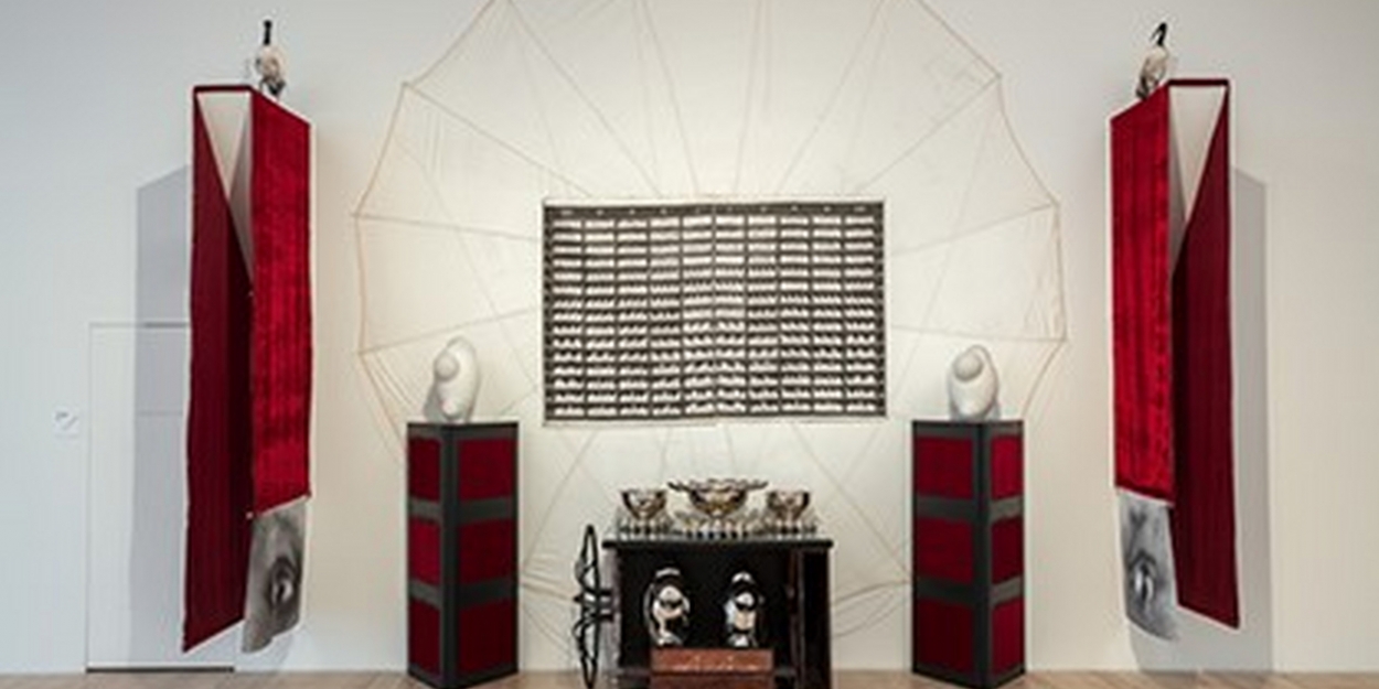 Frist Art Museum And Fisk University Galleries Present TERRY ADKINS ...