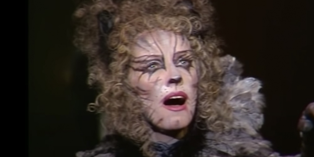 VIDEO: Watch an Original CATS Cast Reunion on STARS IN THE HOUSE- Live ...