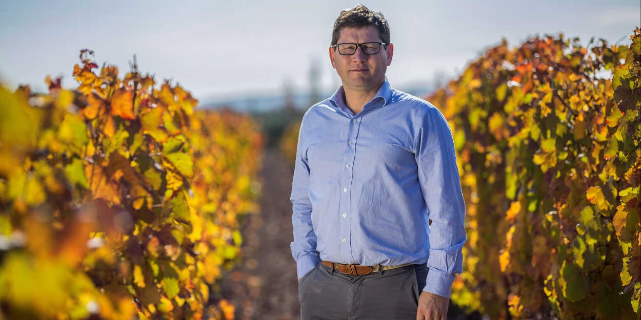 BODEGAS CARO-Wines You Should Know About