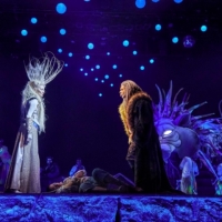 Beverly Rudd: Credits, Bio, News & More | Broadway World