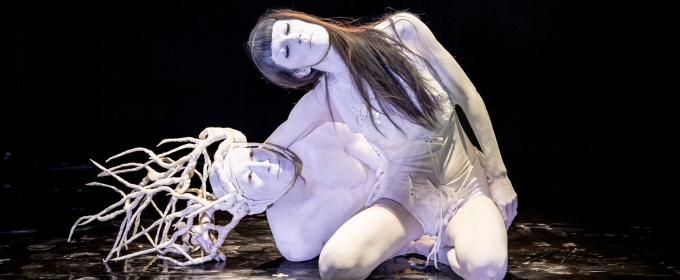 Vangeline Theater and ELF Launch Collaboration To Explore Heart Synchronization In Performance
