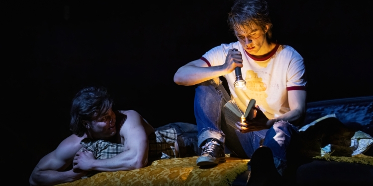 THE OUTSIDERS on Broadway- A Complete Guide