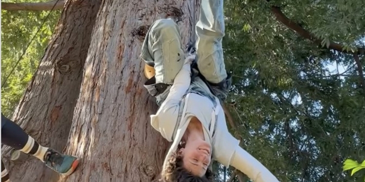 Video: Watch Idina Menzel Get Ready for REDWOOD Climbing Trees and ...