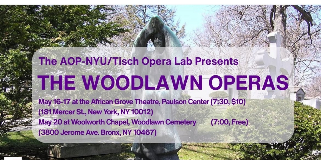 American Opera Projects/NYU Tisch Opera Labs to Present 10 Year ...