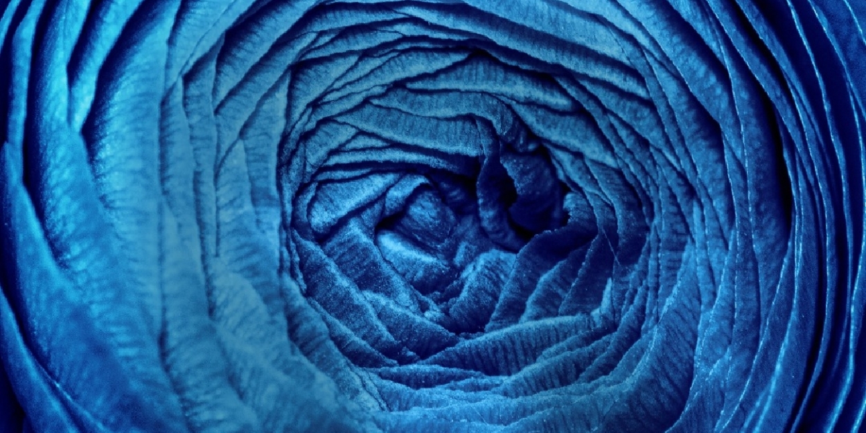 Cast Set For Signature Theatre's ORATORIO FOR LIVING THINGS