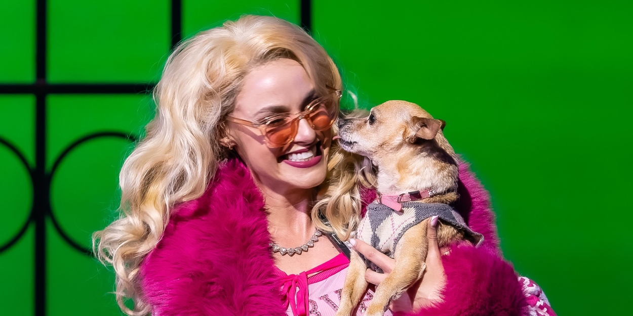 Interview: Kathryn Brunner of LEGALLY BLONDE at Ordway Center For The ...