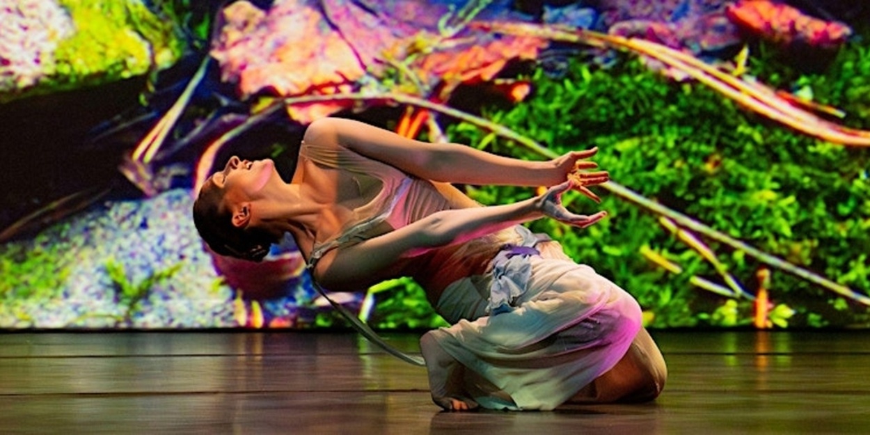 PORTRAYALS OF HUMANITY: Buglisi Dance Theatre to Perform at Ailey ...
