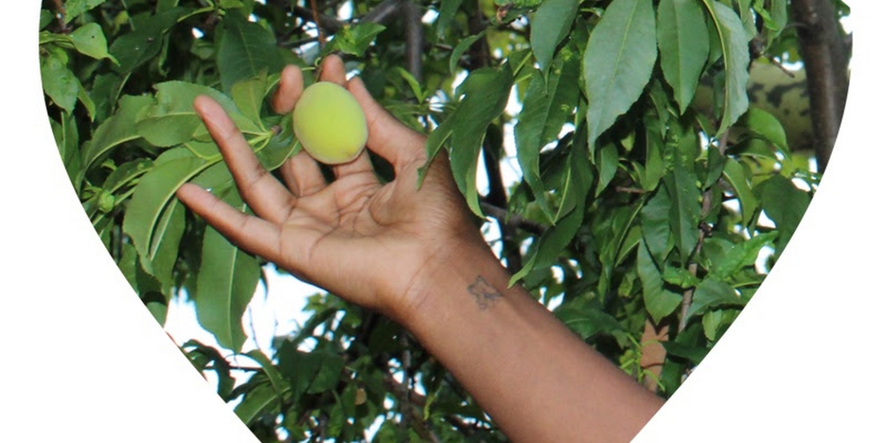 Performance Space New York Will Host Elliot Reed's YOU CAN HEAR FOOTSTEPS