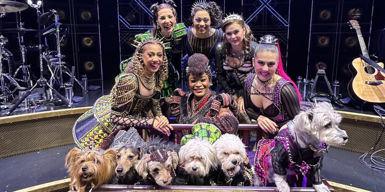 Photos: Dogs Dressed as the SIX Queens Meet the SIX Queens of Broadway