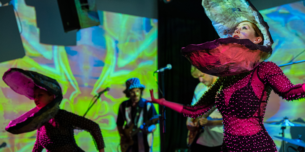 Boojum's Electric Wonderland is Coming to Brooklyn Bowl