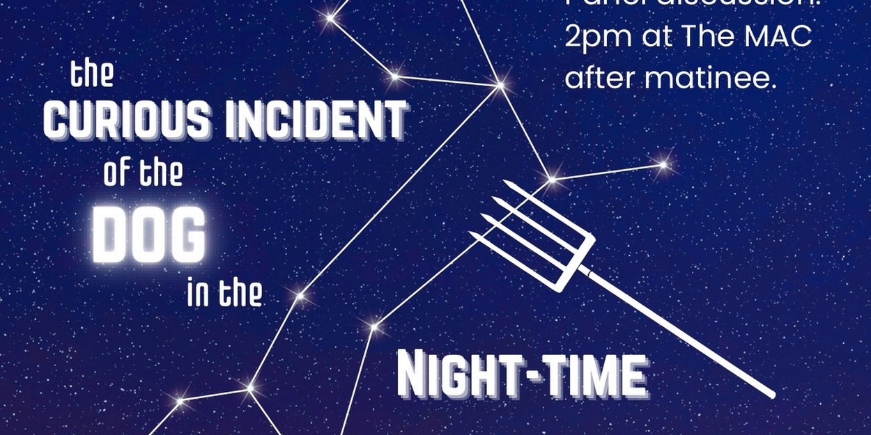 THE CURIOUS INCIDENT OF THE DOG IN THE NIGHT-TIME to Host Autism Panel ...