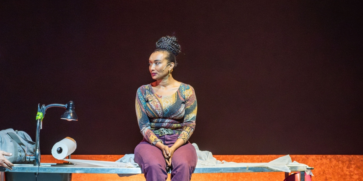 WAKING LIONS Comes to the Cameri Theatre
